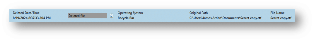 Uncovering insider threats with remote endpoint forensics: a case study ...